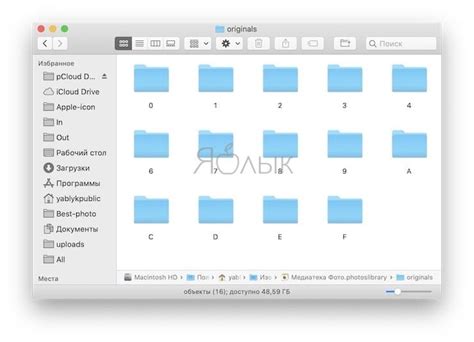Где размещены фото и видео импортированные в Фото на Mac
