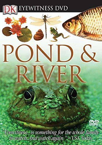 Eyewitness Dvd Pond And River Dk Publishing Sheen