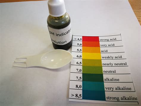 Ph Indicator Solution Etsy Ph Indicator Solution Etsy