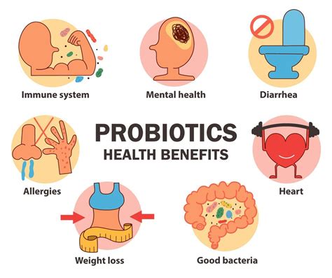 How Long Does It Take Probiotics To Work Dr Ian Stern Dr Ian Stern