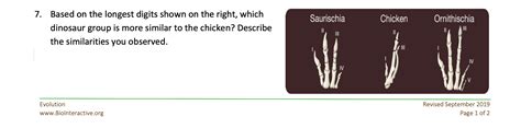 Solved Saurischia Chicken Ornithischia 7 Based On The