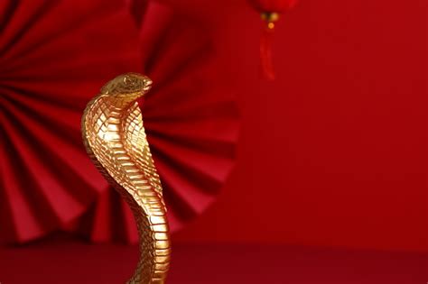 2025년 새해 복 많이 받으세요 뱀 개념의 해 빨간 배경에 동양 아시아 스타일의 종이 팬과 황금 뱀 음력설에 대한 스톡 사진 및 기타 이미지 Istock