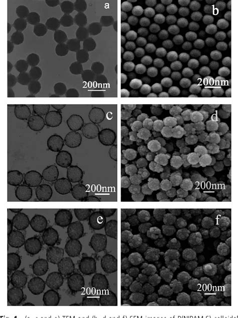 Figure 1 From Facile Synthesis Of Thermal Responsive P Nipam S Sio2 Hybrid Hollow Spheres And
