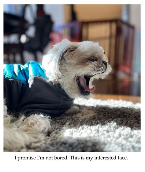 Brandon Rohrer On Linkedin Matplotlib