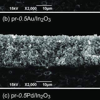 Cross Sectional SEM Photographs Of All Sensors Download Scientific Diagram