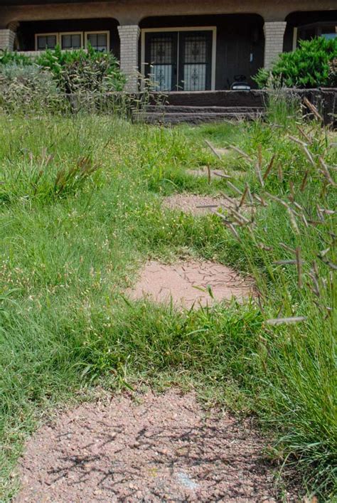 Native Grass Solution