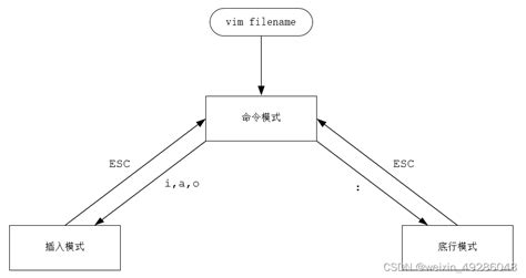Linux终端命令详解：基本操作、选项参数与权限管理 Csdn博客