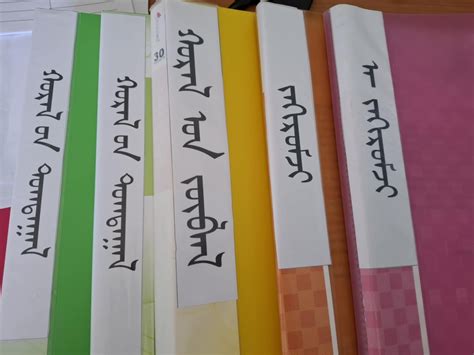 Төрийн албан хэргийг хос бичгээр хөтлөх ажлыг эхлүүллээ