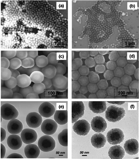 Left Column Morphology Of The SiO 2 ShellFe 3 O 4 Core Structure Download Scientific