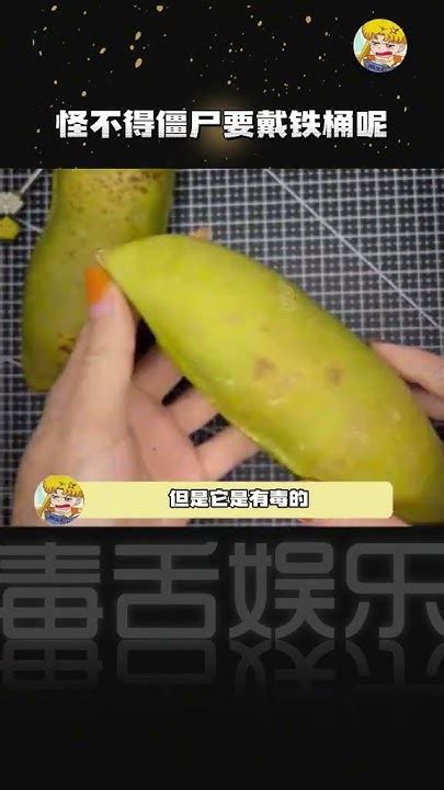 豌豆公主的床下就是放了这粒吗？怪不得睡不好呢！栗豆 豌豆射手shorts Youtube