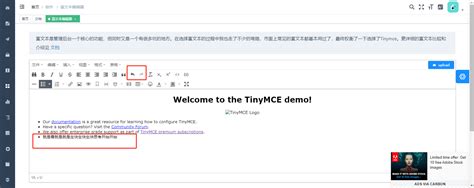 Tinymce富文本编辑器编辑时撤销数据丢失bug · Issue 3656 · Panjiachenvue Element Admin