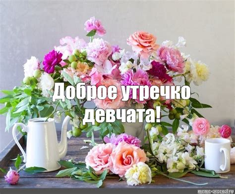 Meme Доброе утречко девчата All Templates Meme