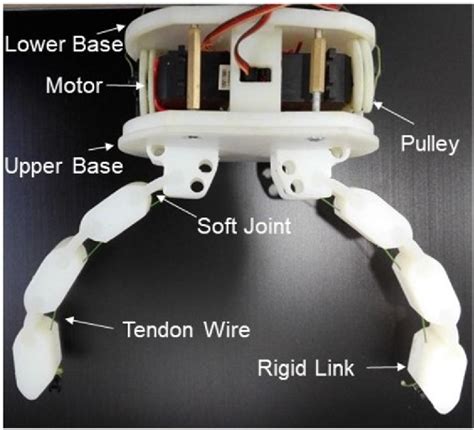 Figure 11 From Design And Prototyping Softrigid Tendon Driven Modular Grippers Using