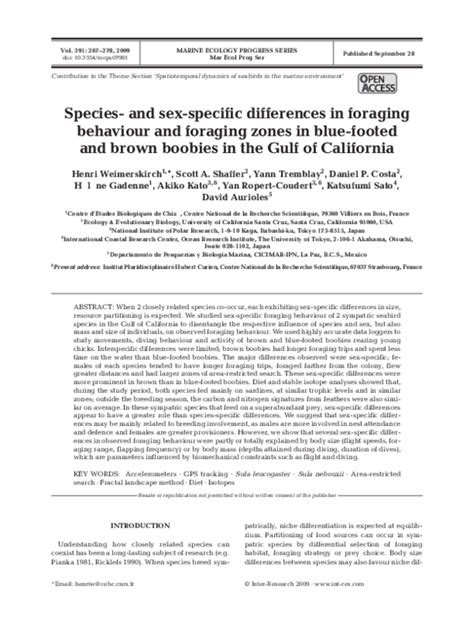 Pdf Species And Sex Specific Differences In Foraging Behaviour And