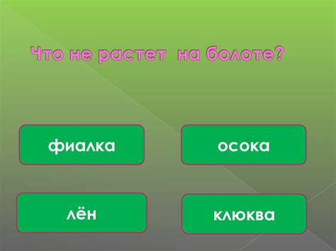 Викторина про лес 2 3 класс Online Presentation