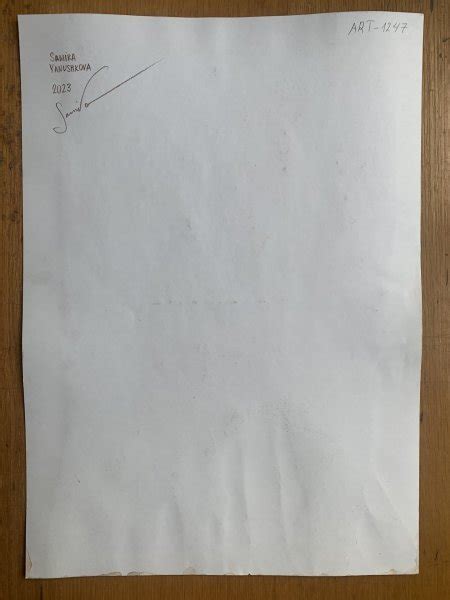 Charm Of Mystery Drawing Samira Yanushkova