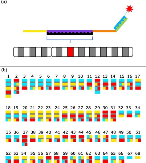 Oligonucleotides Structure And Scaffolds Color Pattern A Oligo Download Scientific Diagram