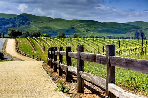 12 Best Downtown Livermore Images On Pinterest Bay Area Livermore