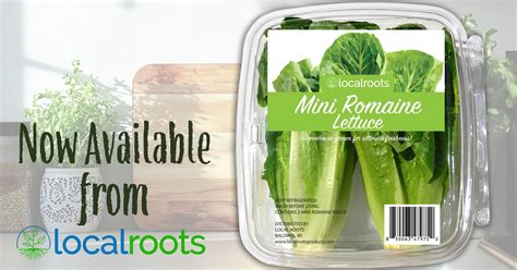 Local Roots Mini Romaine Available At Walmart Stores