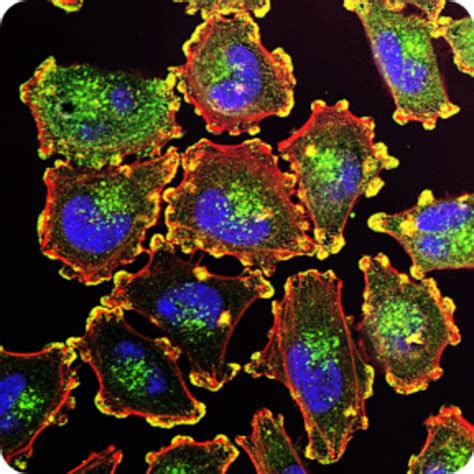 A Beginners Guide To Building Confidence In Single Cell Rna Seq 10x Genomics