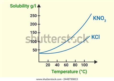 Solubility Curves Kno3 Kcl Stock Vector Royalty Free 2448730813 Shutterstock