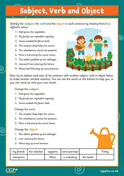 Subject Verb And Object Year 6 Cgp Plus