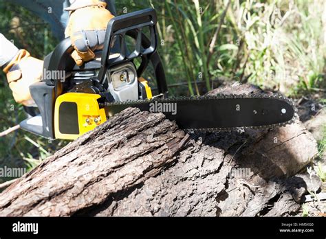 Man Cutting Tree With Chainsaw Stock Photo Alamy