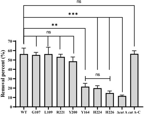 Removal Percent Of Catechol By Wild Type C12o And Its Site Directed