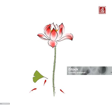 연꽃 깅코 잎 흰 배경에 세 개의 작은 붉은 물고기 전통적인 동양 잉크 페인팅 스미e U죄 고화 상형 문자 꽃 연꽃에 대한 스톡 벡터 아트 및 기타 이미지 Istock