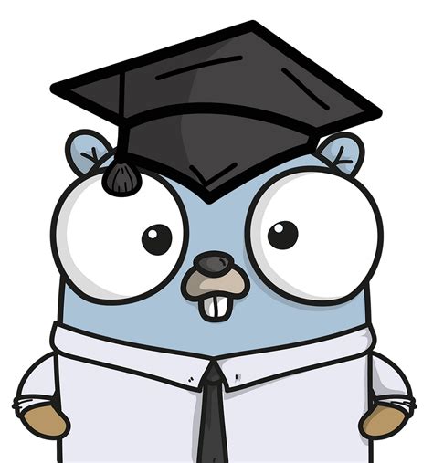 Generate Swagger Specification From Go Source Code By Pedram