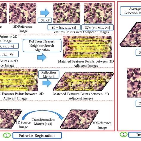 Schematic Diagram Of Two Main Stages Applied Into Hybrid 2d And 3d Download Scientific Diagram