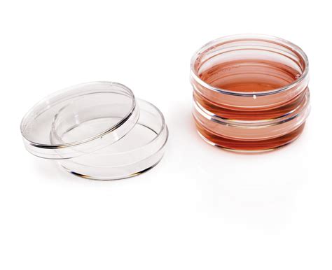Cytoone® Zellkulturschalen Starlab