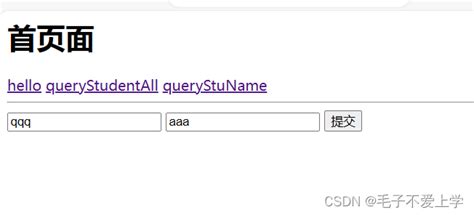 Spring Mvc 怎么拿页面参数到数据库 在方法里面写两个要传入的参数 然后在控制台输出 Csdn博客
