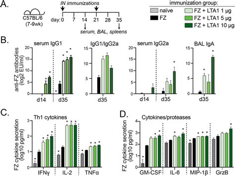 Immune Responses To In Flu Immunization Are Enhanced With Lta1 Download Scientific Diagram