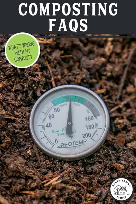 Home Composting Troubleshooting FAQs Homesteading Family