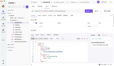 Rest Api 消费端的最佳调试实践