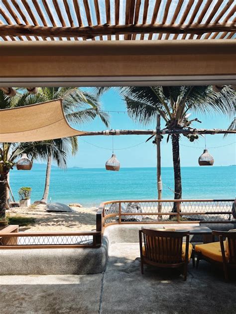 바다 수직 쐈어 야자나무 여름 의자 해변 해안 휴가 휴식에 관한 무료 스톡 사진