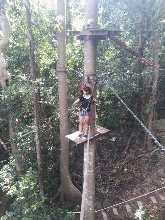Tree Top Adventure Park Ko Chang All You Need To Know Before You Go With Photos TripAdvisor
