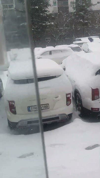 올들어 가장 큰 폭설 Youtube