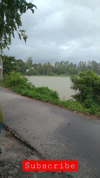 বর্ষা কালের গ্রাম বাংলার বৃষ্টিস্নাত অপরূপ দৃশ্য 😍😍 Village Scenery Natural Beauty Shorts