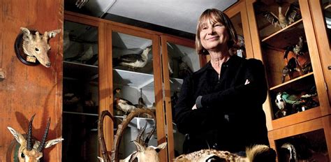 המלחמה הסודית שלא שמעתם עליה ומתנהלת כאן מדי יום גלובס