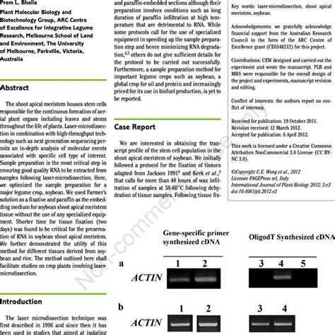 Reverse Transcriptase Polymerase Chain Reaction Analysis Of Rna