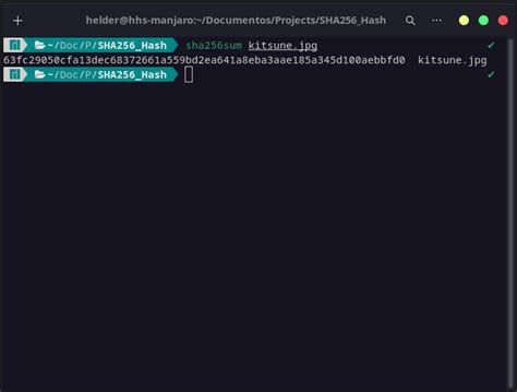 github thehprogrammer sha256 evp based on a discipline that was