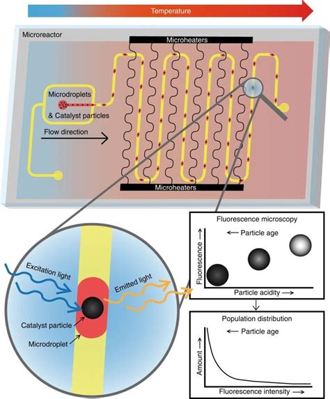 High Throughput Screening Of Catalysts Using Microreactors