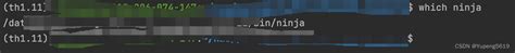 解决“ninja Is Required To Load C Extensions“ Python Yupeng5619 华为开发者空间