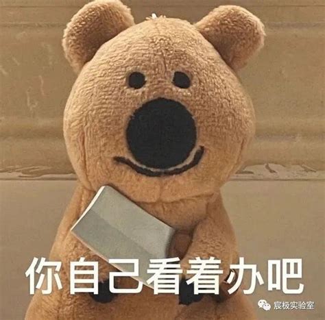 宸极实验室—『工具使用』dpdk工具集介绍及安装避坑记录 知乎 宸极实验室—『工具使用』dpdk工具集介绍及安装避坑记录 知乎