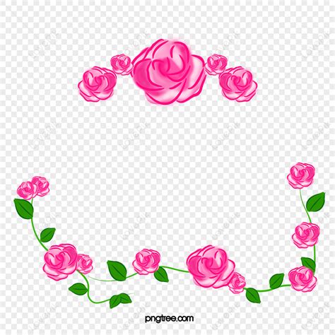 장미 일러스트 레이스꽃 상자나풀단가장자리 Png 일러스트 무료 다운로드 Lovepik