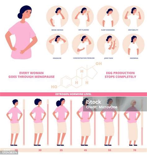 에스트로겐 호르몬 수준 호르몬 다이어그램 여성 자연 생물 생활 차트 의학 폐경 연령 수준 산부인과 과학 완전 벡터 포스터 폐경기에 대한 스톡 벡터 아트 및 기타 이미지