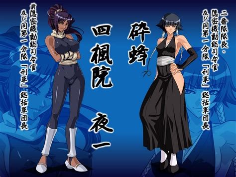 Yoruichi And Soifon Wallpaper