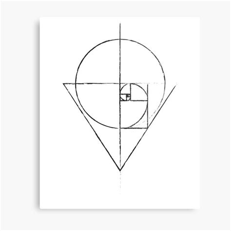 Golden Ratio Spiral Fibonacci Sequence Tattoo Inspired Sketch Metal